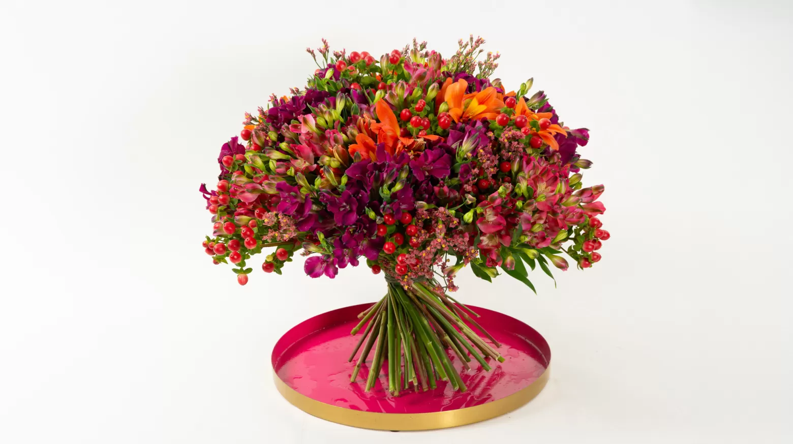 Hypericum Tomato Flair® | Marginpar